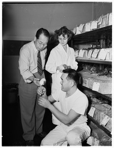 Cancer (tests with rats), 1952 — Calisphere