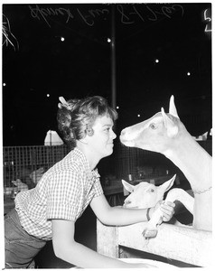 Hemet fair, 1960 — Calisphere