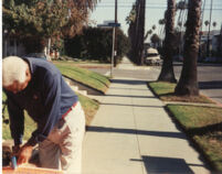 Alfred Thomas Quinn making elect Al Quinn signs — Calisphere