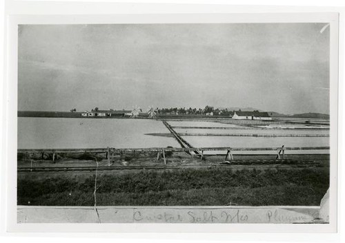 Crystal Salt Works, Newark, Alameda County — Calisphere