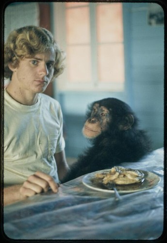 Ape with man — Calisphere