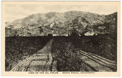 View of The Oil Fields, Santa Paula — Calisphere