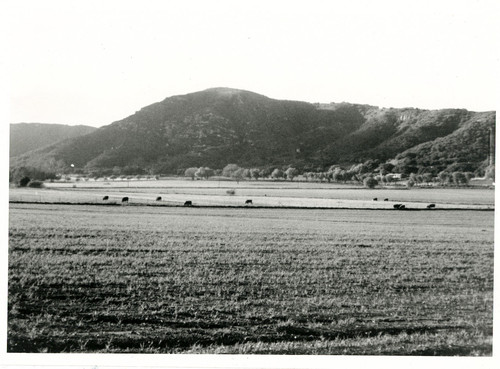Distant View of Albertson Ranch — Calisphere