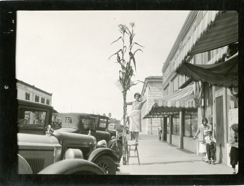 Woman with Cornstalks, 5th Street Oxnard — Calisphere