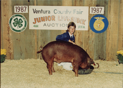Lance Gunter and Prize Hog at Ventura County Fair — Calisphere