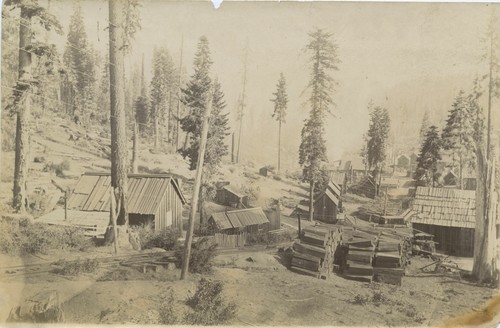 Cabins - Converse Basin 1904 — Calisphere