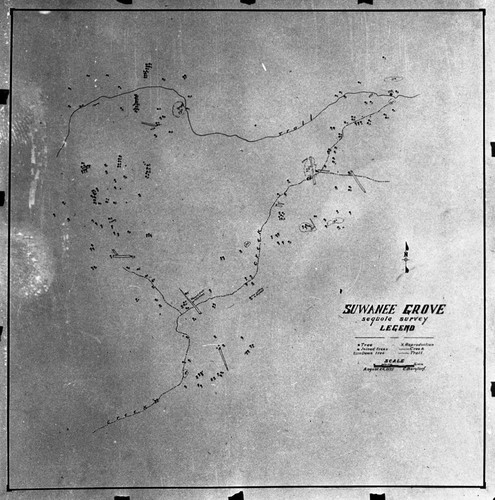 Sequoia Park, Maps and Graphics, Map showing census in Suwanee Grove ...