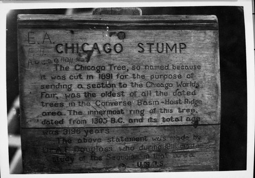 Signs, Chicago Stump sign — Calisphere