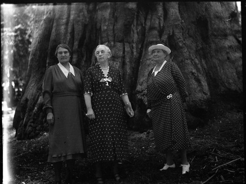 Dedications and Ceremonies, Susan B. Anthony Tree Dedication. Misc ...