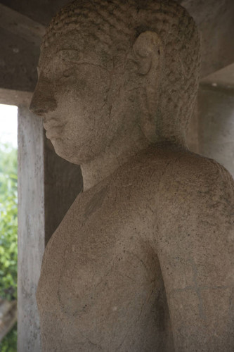 Bodhigara; First Samādhi Buddha — Calisphere