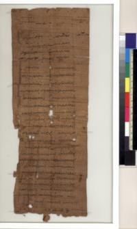 Petition of the tax farmer Pnepheros to the basilikos grammateus ...