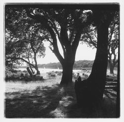 Boating on Lake Ilsanjo, Santa Rosa, California, 1971 — Calisphere