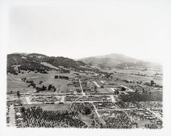 Aerial view of Rincon Valley, Santa Rosa, California, 1964 — Calisphere