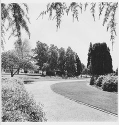 Juilliard Park, Santa Rosa, California, 1964 — Calisphere