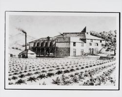 Fountaingrove Winery — Calisphere