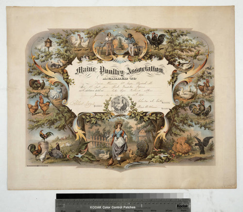 Maine Poultry Association, awarded to — Calisphere