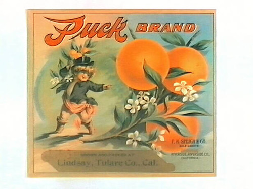 Puck Brand — Calisphere