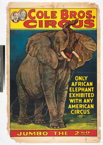Cole Bros. Circus : Jumbo the 2nd : only African Elephant exhibited ...