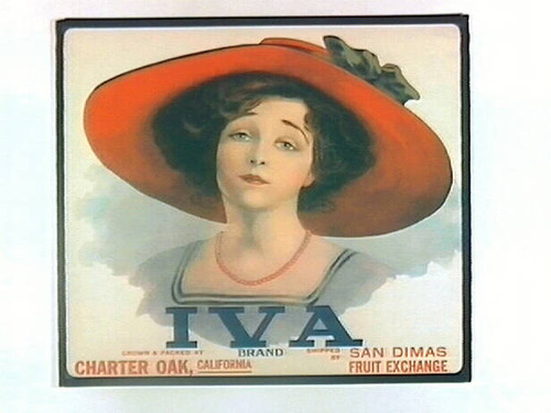 Iva Brand — Calisphere
