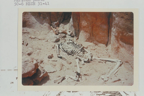 Skeleton above Paradise Canyon — Calisphere