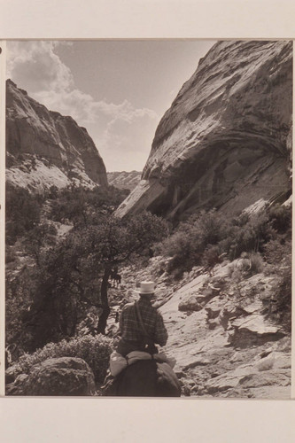 Down the trail from Rainbow Plateau into Navajo Canyon. Masland in ...