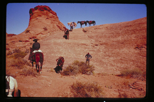 Down from saddle between Bald Rock and Nasja — Calisphere
