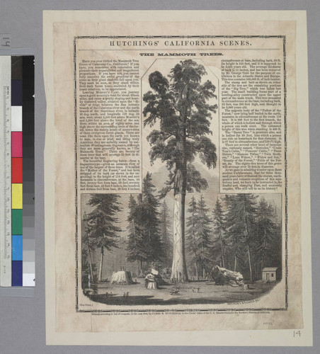 Hutchings’ California Scenes. The Mammoth Trees — Calisphere