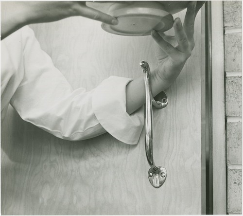 William Levy Alexander: David Greggory house (Encino, Calif.) — Calisphere