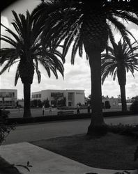 Business Administration building from across the courtyard — Calisphere