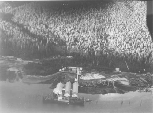 Alaska Packers Salmon Company cannery, near Ketchikan, Alaska — Calisphere