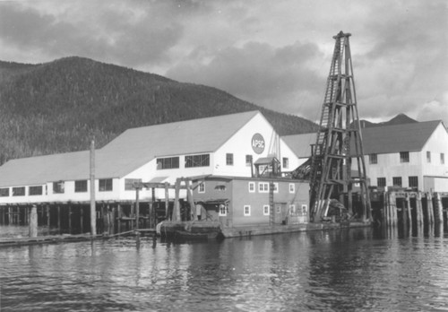 Alaska Packers Salmon Company cannery, near Ketchikan, Alaska — Calisphere
