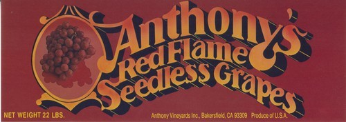Anthony's Red Flame Seedless Grapes — Calisphere
