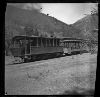 Train traveling along the Mt. Tamalpais and Muir Woods Railroad, Marin ...