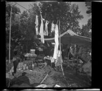 H. H. West's socks hanging from the camp clothesline, Mono County, 1941 ...