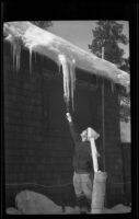 Mertie West after icicles hanging from eaves on the Wells cabin, Big ...