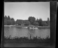 People row boats on the lake at Hollenbeck Park, Los Angeles, about ...