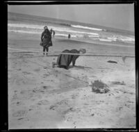 Mary Whitaker watches another woman crawling under a rope at the beach, Redondo Beach, 1901 ...