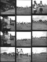 12 images showing men harvesting a field with machetes, and a man ...