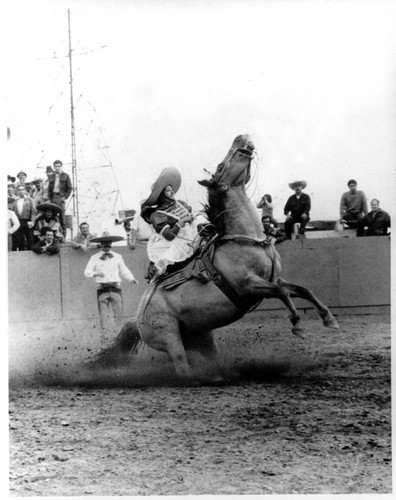 Floriza at the rodeo — Calisphere