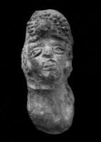 Human head — Calisphere