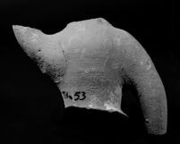 Female torso, back — Calisphere