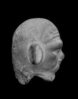 Human head — Calisphere