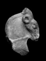 Horse — Calisphere