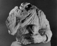 Bodhisattva, torso — Calisphere