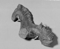 Horse — Calisphere