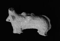 Animal — Calisphere