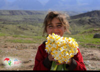 "بەڵێ، بۆ سەربەخۆیی کوردستان،" — Calisphere