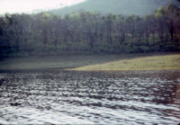 Thekkady Lake at Periyar Wildlife Sanctuary, Thekkady (India), 1984 ...