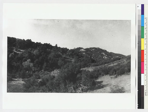 Cupeño territory just above "Eagles' Nest" looking toward top of ...