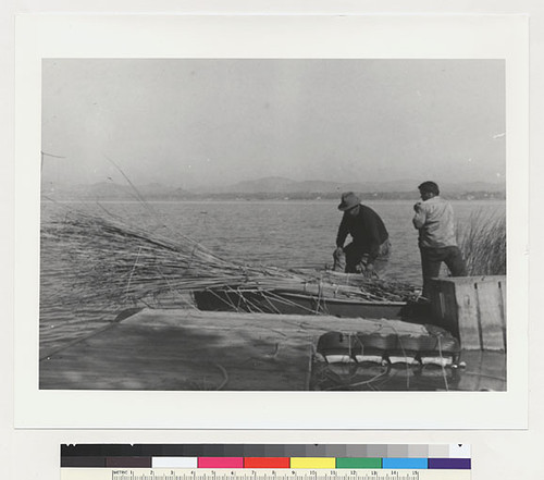 Balsa; bringing in a load of tule for balsa building — Calisphere